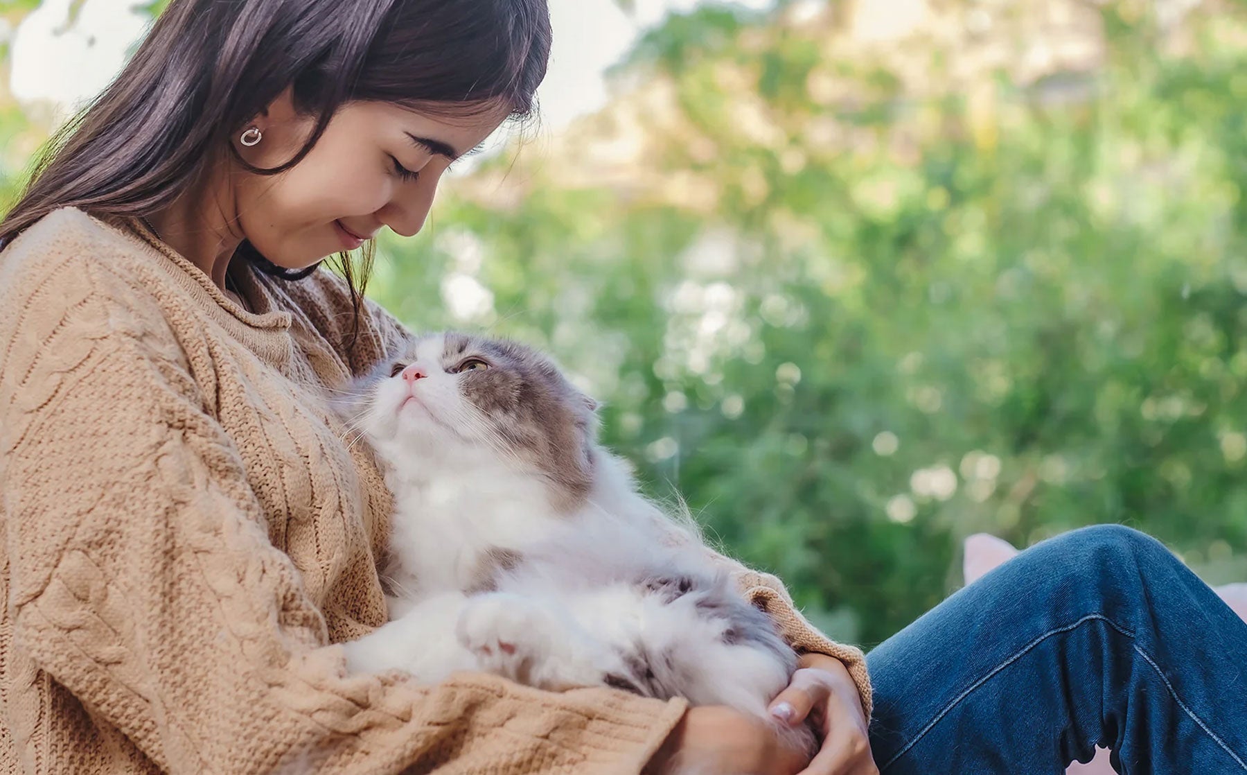 9 benefits of adopting a cat instead of buying one from a breeder. - Modkat