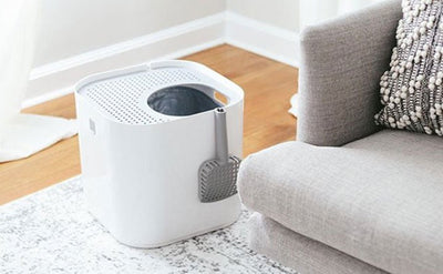 10 safe spring cleaning tips for cat lovers. - Modkat