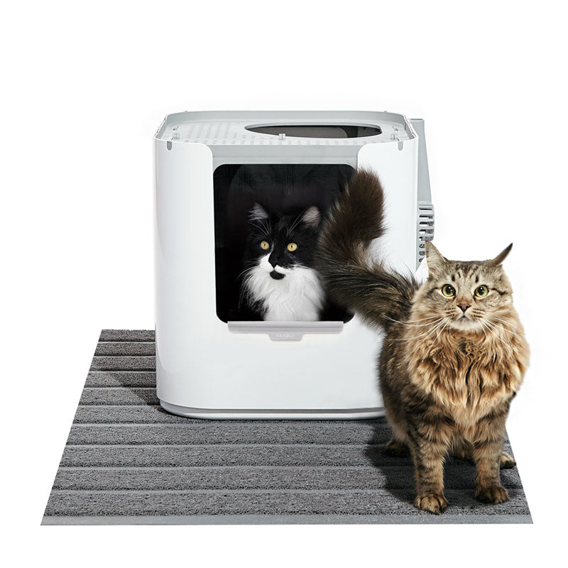 Modern Cat Litter Boxes & Accessories - Modkat