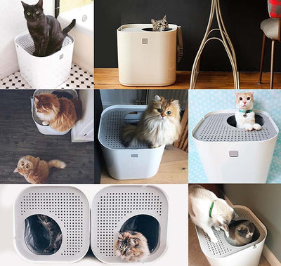 Square Top Entry Litter Box | Modkat