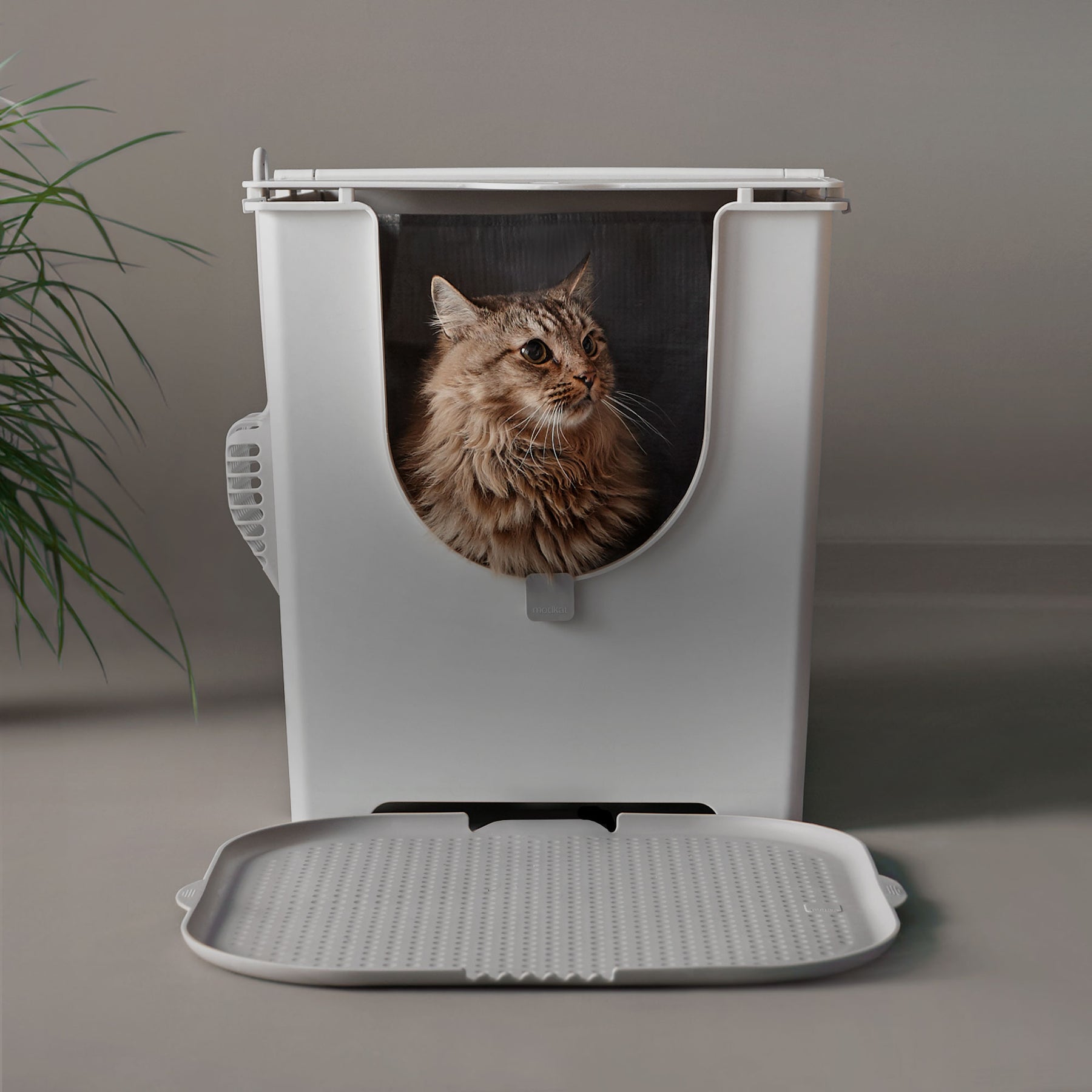 Modkat® - Where modern cats do their business.®