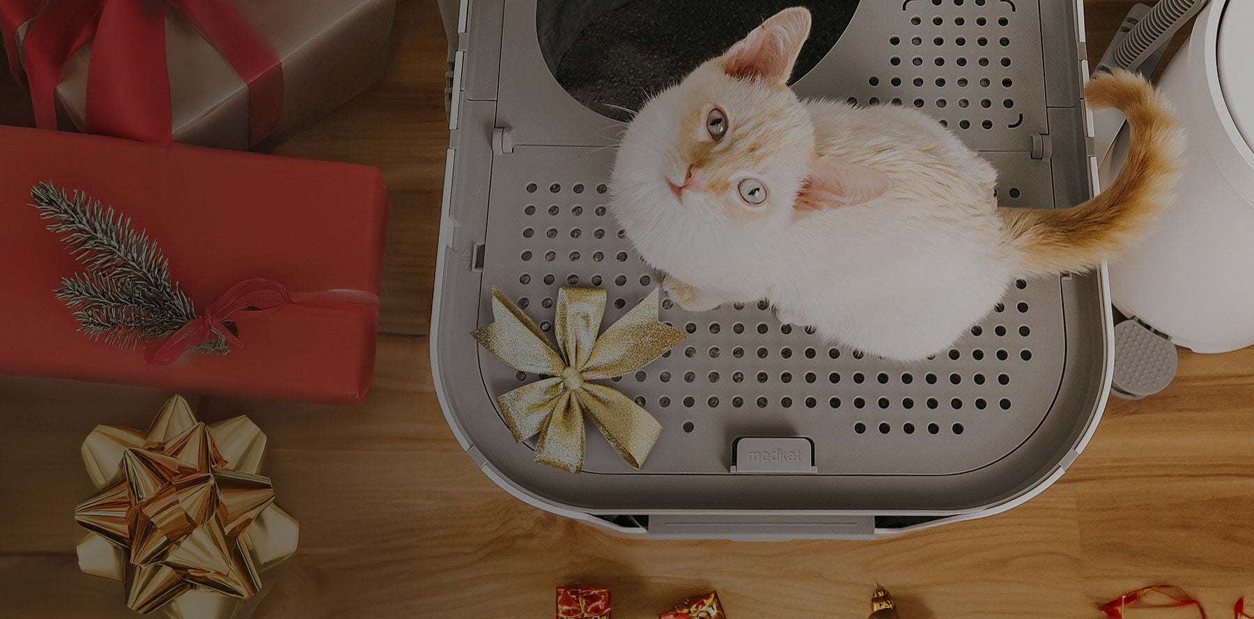 Modkat® - Where modern cats do their business.®