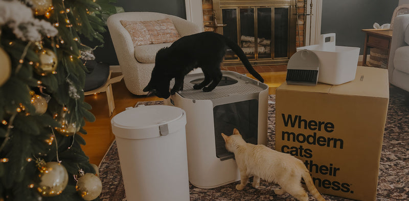 Modkat® - Where modern cats do their business.®