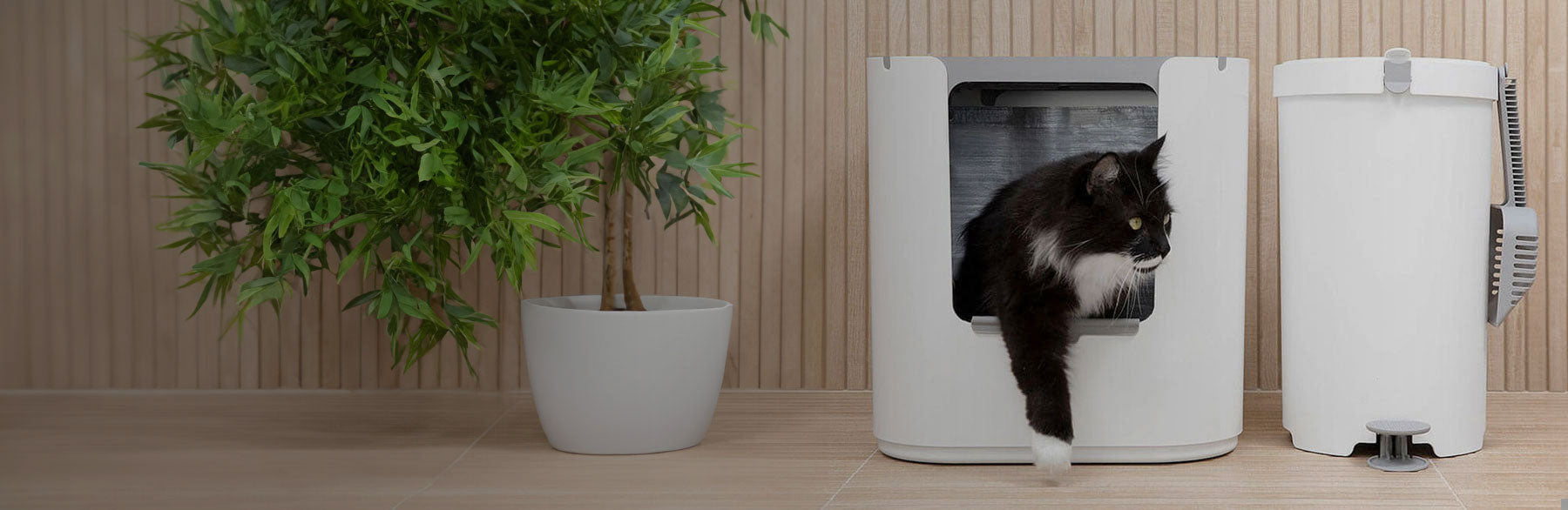 Litter Boxes | Best Cat Litter Boxes | Modkat