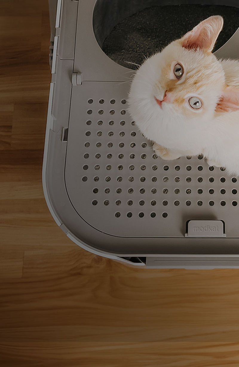 Modkat® - Where modern cats do their business.®