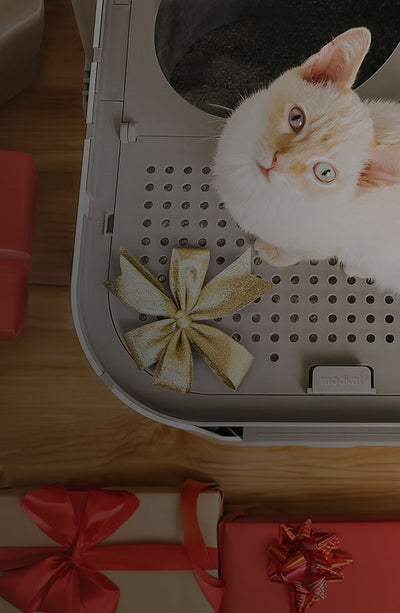Modkat® - Where modern cats do their business.®