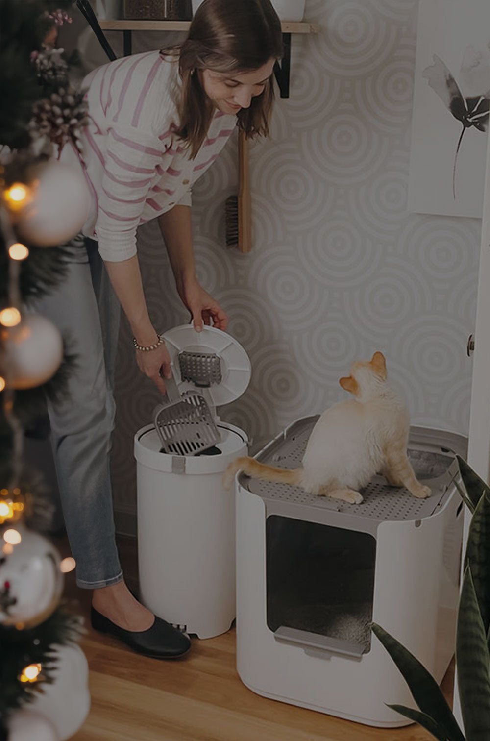 Modkat® - Where modern cats do their business.®