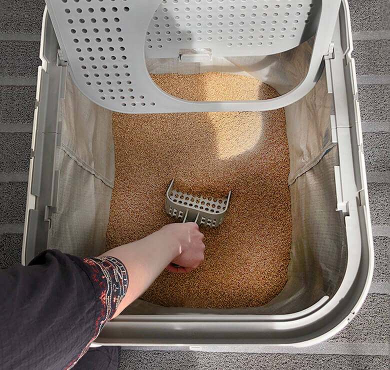 Extra Large Litter Box For Big Cats | Modkat